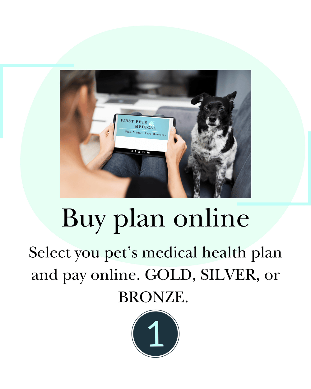 How First Pets Medical works