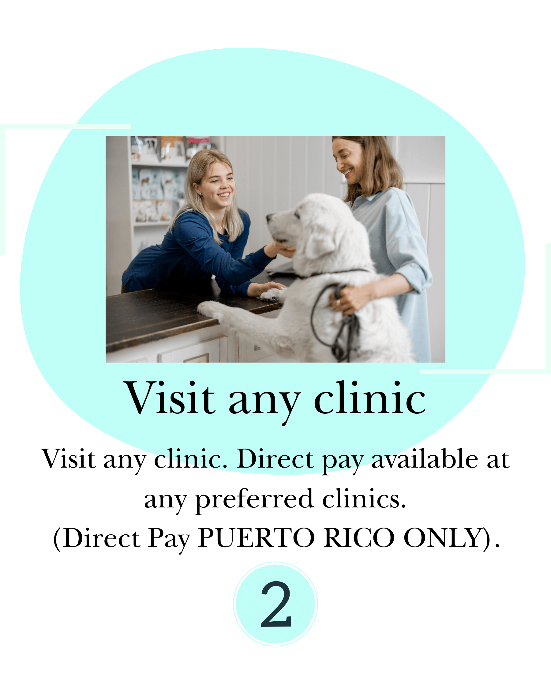 How First Pets Medical works